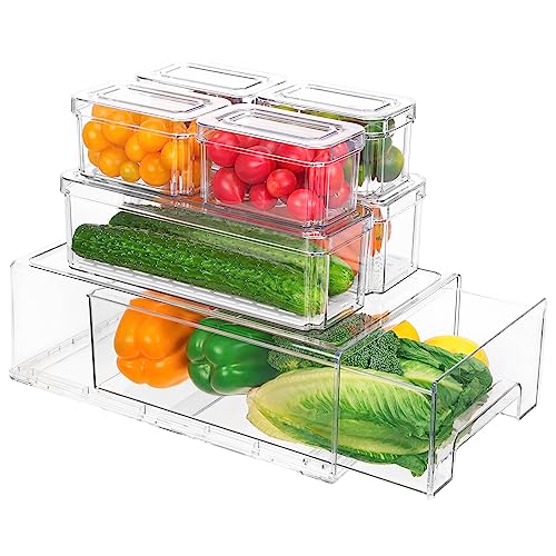 Fridge Boxes – The 16 best products compared - Outdoors Magazine