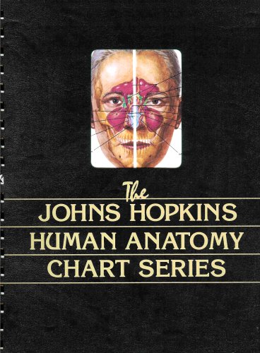 The Johns Hopkins Human Anatomy Chart Series (Anatomical Chart Series ...