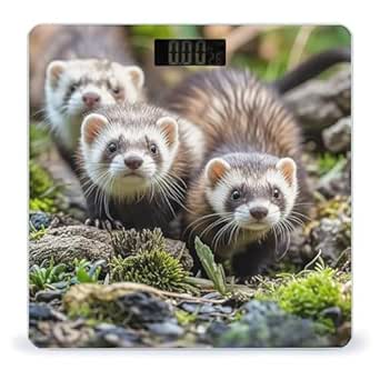 Ferrets Scale for Body Weight Accurate Digital Bathroom Scale Toughened ...