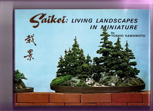 Saikei: Living Landscapes in Miniature: Kawamoto, Toshio: 9780870110481 ...