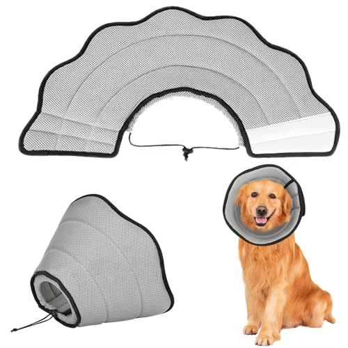 Collerette Chien – Les 15 meilleurs produits dans la comparaison ...