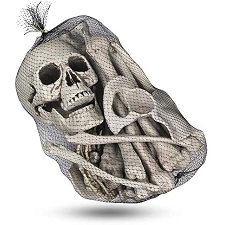 Amazon.com: XONOR 28 Pieces Skeleton Bones and Skull for Halloween ...