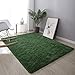 Amazon.com: DweIke Super Soft Shaggy Rugs Fluffy Carpets, 5x8 ft Deep ...