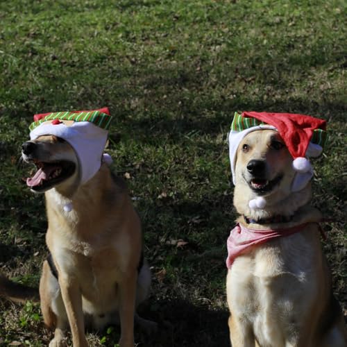 Play Boom Forest Invites You to a Very Cookie Christmas, Vol. 2 by Boom ...