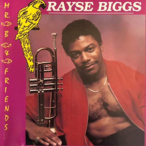 Play Mr. B. And Friends by Rayse Biggs on Amazon Music