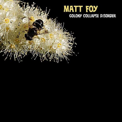 Amazon MusicでMatt FoyのColony Collapse Disorder (feat. Dave MacKinnon)を再生する