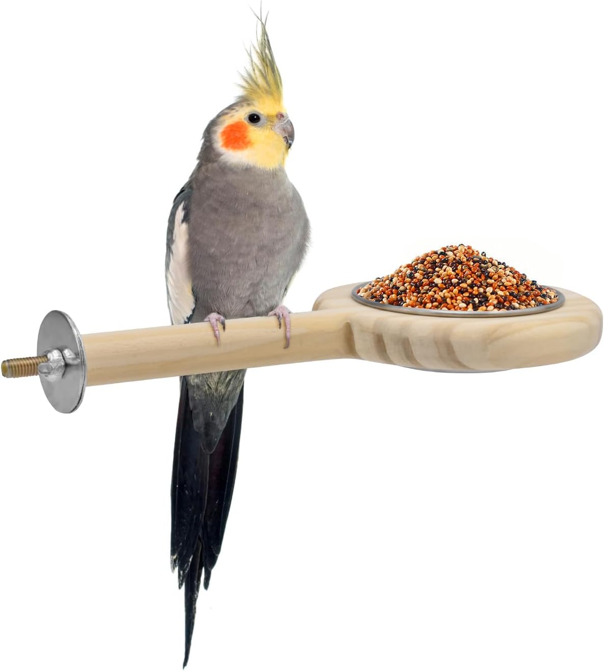 Amazon.com: Bird Perch with Bird Feeding Cup, Parrot Wood Perch Bird ...