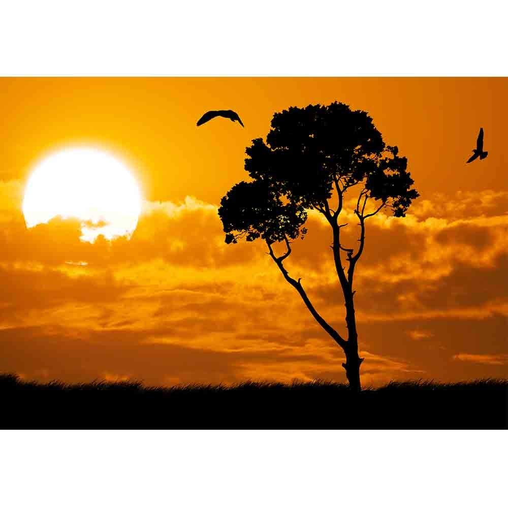 Silhouette Photography Nature