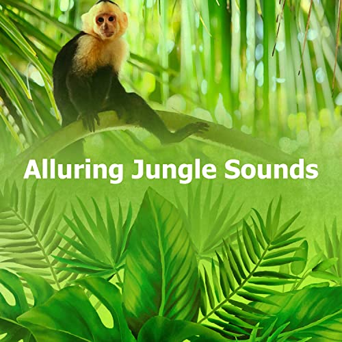 Play Alluring Jungle Sounds by The Sound Of The Jungle on Amazon Music ...