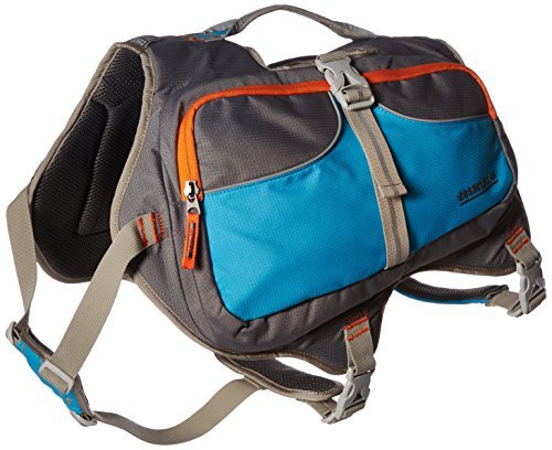 Winter Hiking with Dogs: Best Gear, Training, and Safety Tips