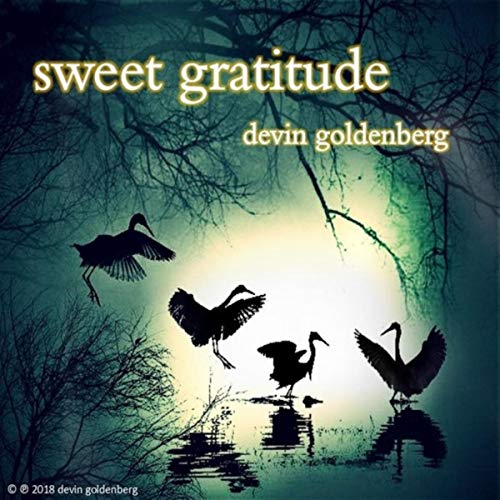 Play Sweet Gratitude by Devin Goldenberg on Amazon Music Unlimited