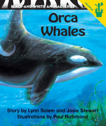 Early Reader: Orca Whales: Lynn Salem, Josie Stewart: 9780845436721 ...