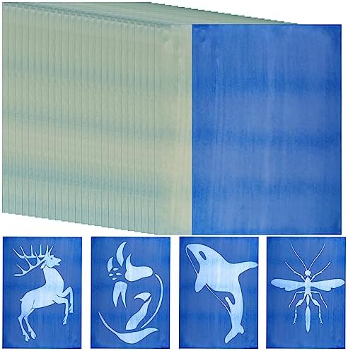 Amazon.com : Fumwase 30 Sheets Sun Print Paper Kits Cyanotype Papers ...