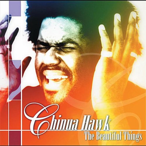 Amazon Music - Chinua HawkのThe Beautiful Things - Amazon.co.jp