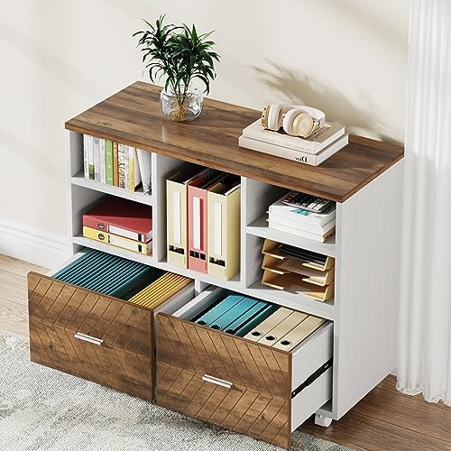 Amazon.com: Semoic 2 Drawer Wood Lateral File Cabinet with Lock ...