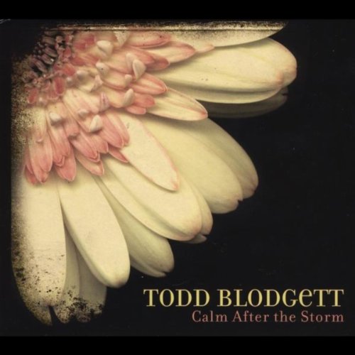Play Calm After the Storm by Todd Blodgett on Amazon Music