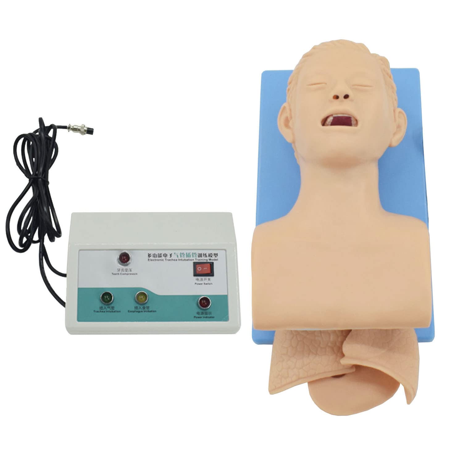 Adult Electronic Human Tracheal Intubation Training Model With Alarm ...