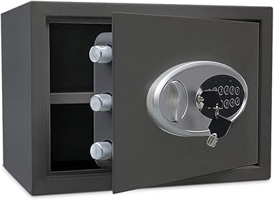 First Alert 2087F Waterproof and Fire-Resistant Bolt-Down Combination ...