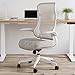 Amazon.com: FLEXISPOT Office Chair High Back Swivel Computer Chair with ...
