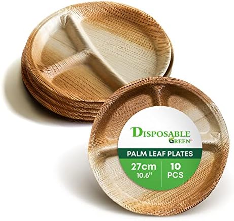 DISPOSABLE GREEN – Rectangle Disposable Plates, Bagasse Compartment ...
