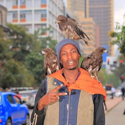 Amazon.co.jp: Tingiza Anthem : Nairobi Birdman: Digital Music