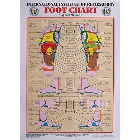 Amazon.com: Pocket foot Reflexology Chart Laminated 8.5 x 11 ...