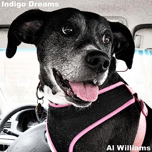 Play Indigo Dreams by Al Williams on Amazon Music Unlimited