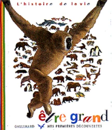 Etre Grand (Mes Premieres Decouvertes) : PEYROLS, SYLVAI: Amazon.in: Books