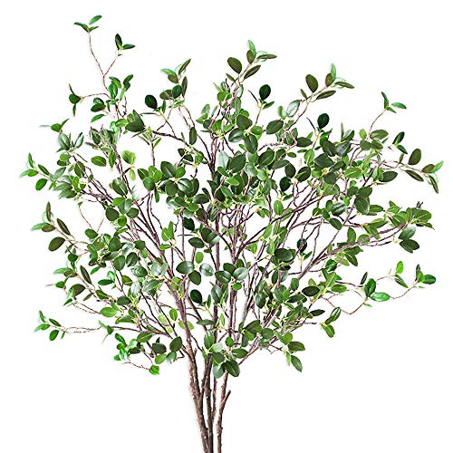 Craftberry Bush's Amazon Page