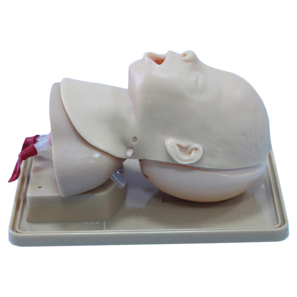 Buy LUCKFY Manikin Teaching Model - Infant Tracheal Intubation Training ...
