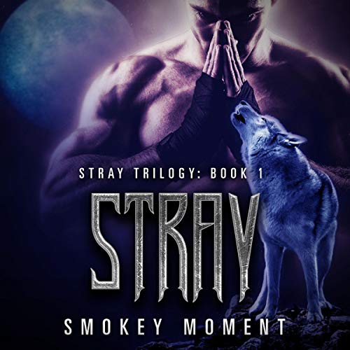 Amazon.com: Stray: Stray Trilogy, Book 1 (Audible Audio Edition ...