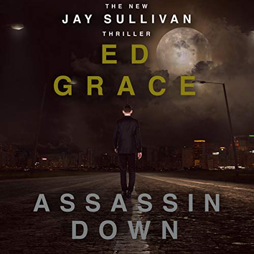 Amazon.com: Assassin Down: Jay Sullivan Thrillers, Book 1 (Audible ...