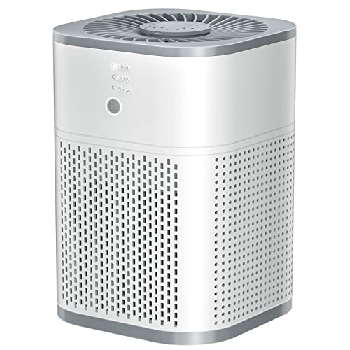 Top 10 Best Air Filter For Allergies : Reviews & Buying Guide - Katynel