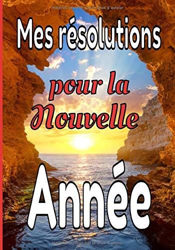 Amazon.com: Mes résolutions pour la nouvelle année: L'ultime Carnet de ...