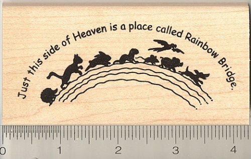 Amazon.com: Large Rainbow Bridge with Pets Rubber Stamp - Wood Mounted