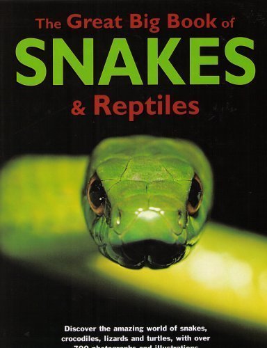 The Great Big Book of Snakes & Reptiles: Barbara Taylor: 9781844774913 ...