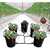 Amazon.com : Hydroponics Growing System, 5 Gallon Hydroponic Bucket Kit ...