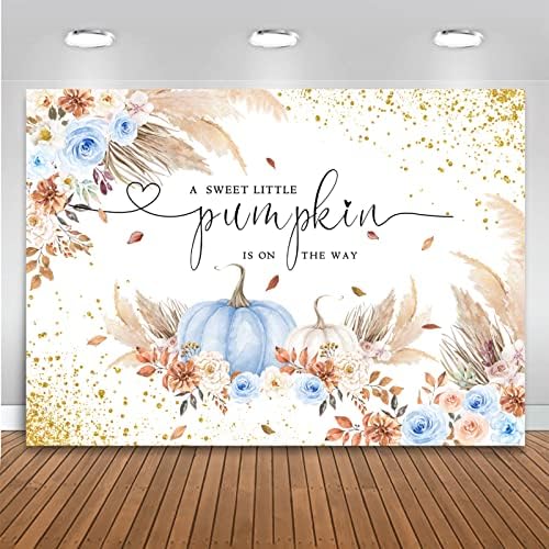 Amazon.com : Mocsicka Pumpkin Backdrop for Girl Boy Autumn Fall Pumpkin ...