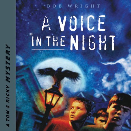 Amazon.co.jp: A Voice in the Night: Tom and Ricky Mystery Series, Set 2 ...