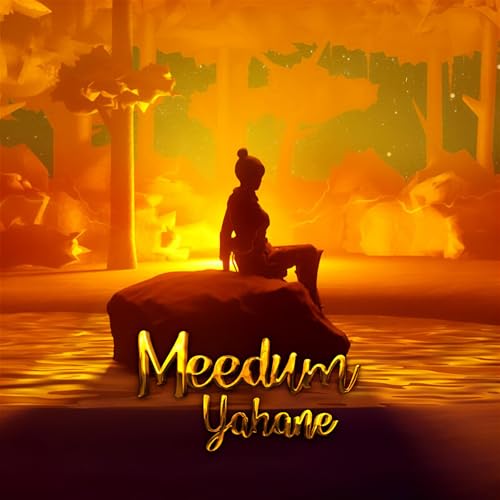 Meedum Yahane de Yaka no Amazon Music Unlimited