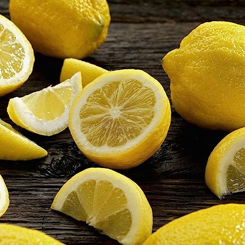 Semillas Lidl ️ 2024