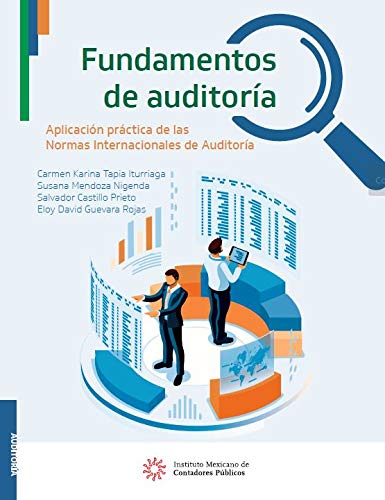 Fundamentos de auditoría. (Auditoria) eBook : Tapia Iturriaga,Carmen Karina, Mendoza Nigenda ...
