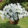 Amazon.com: INSPRING Artificial Fake Spring Flowers for Outdoors ...