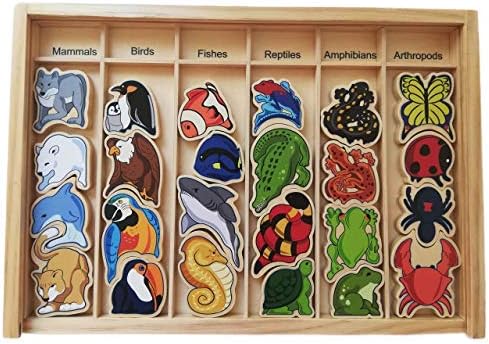 MONTESSORI ANIMAL CLASIFICACIÓN PUZZLE 26 piezas grandes Animal Puzzle ...