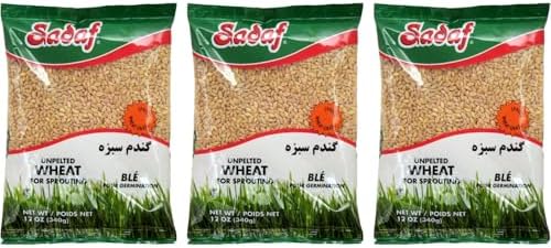 Amazon.com : Sadaf Unpelted Wheat - Sabzeh Sprouting Wheat - Germinado ...