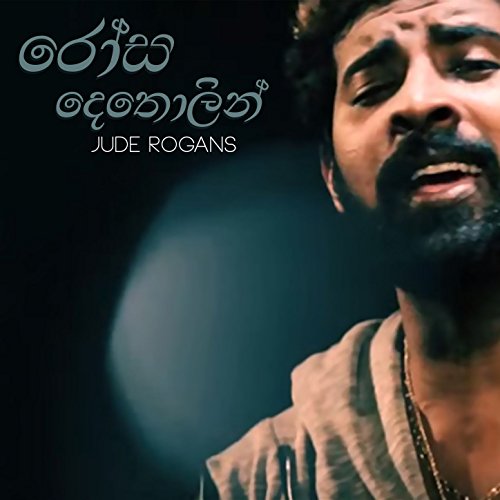 Amazon.com: Rosa Detholin - Single : Jude Rogans: Digital Music