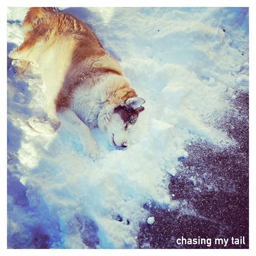 Chasing My Tail von Ethan Marc Band auf Amazon Music Unlimited