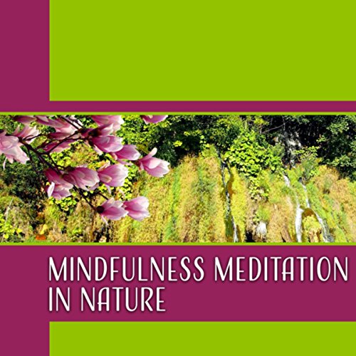 Amazon.com: Mindfulness Meditation in Nature – Rain, Singing Birds ...