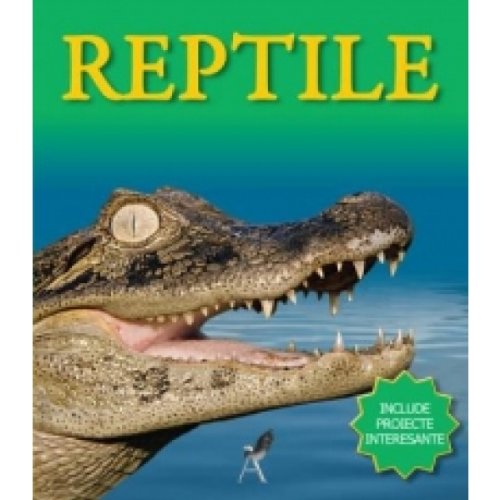 Amazon.com: Reptile: 9789737144256: Weber, Belinda: Books