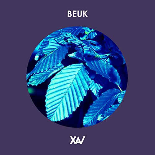 Beuk by Xav on Prime Music